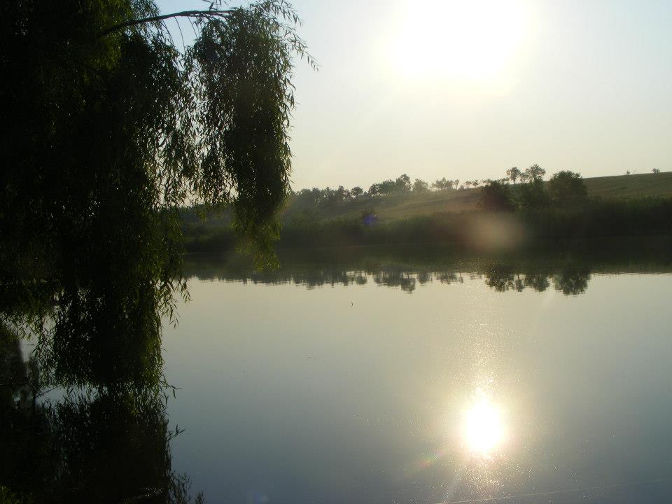 Galerie de imagini :: Balta Dragoesti (Fosta BGS)