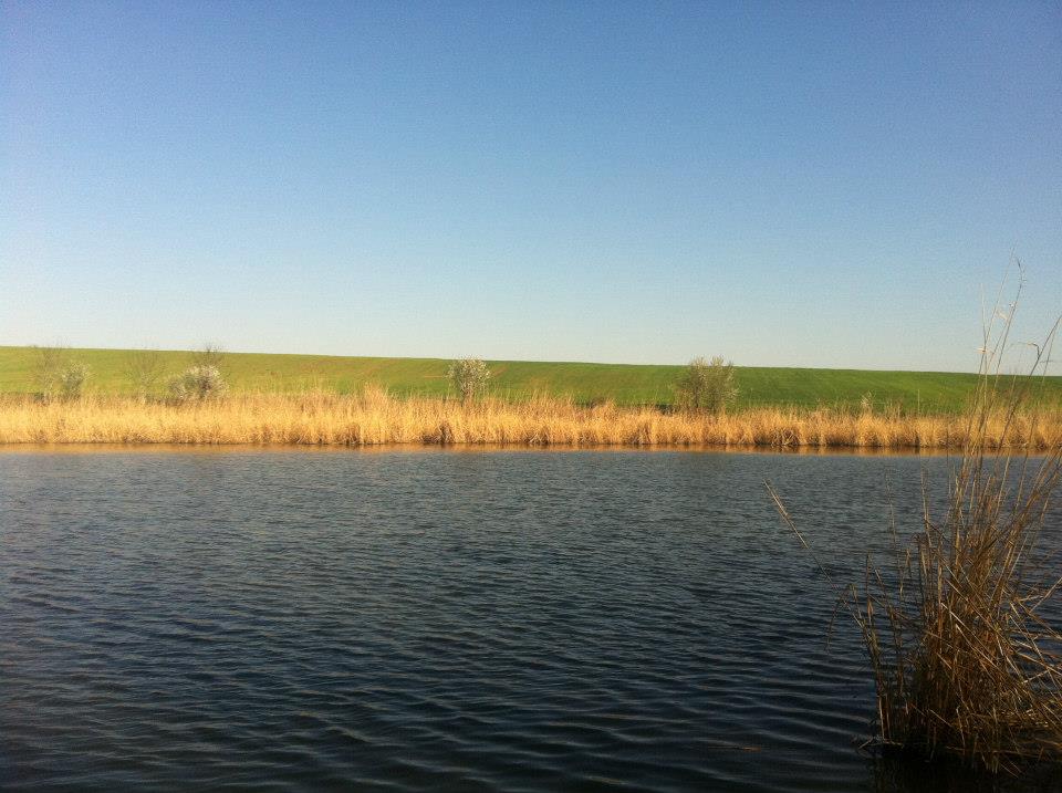 Galerie de imagini :: Balta Dragoesti (Fosta BGS)