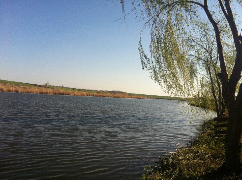 Galerie de imagini :: Balta Dragoesti (Fosta BGS)