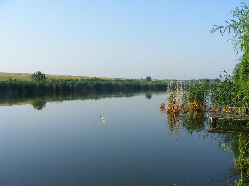 Galerie de imagini :: Balta Dragoesti (Fosta BGS)