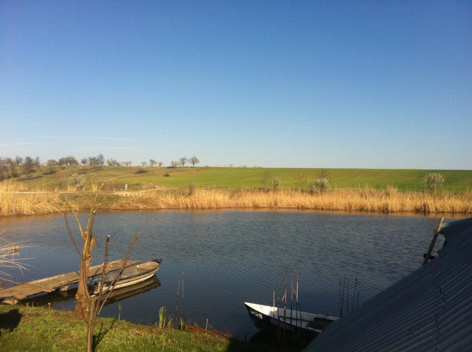 Galerie de imagini :: Balta Dragoesti (Fosta BGS)