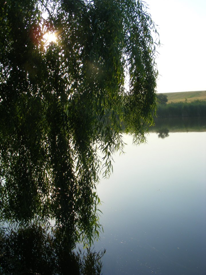 Galerie de imagini :: Balta Dragoesti (Fosta BGS)