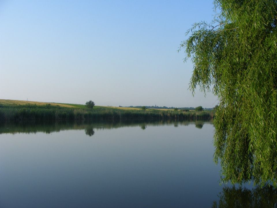 Galerie de imagini :: Balta Dragoesti (Fosta BGS)