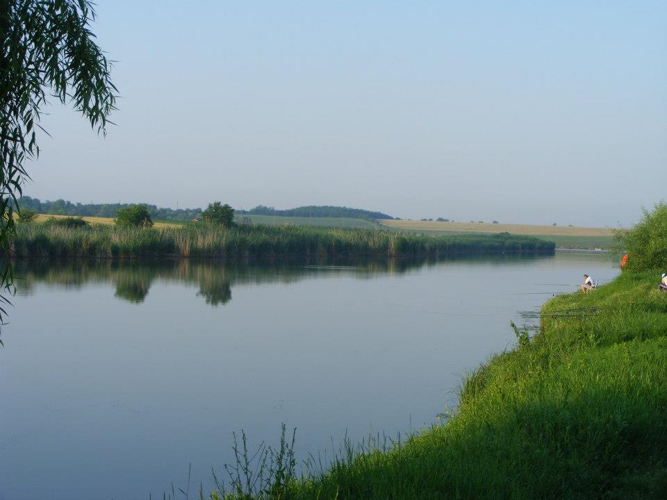 Galerie de imagini :: Balta Dragoesti (Fosta BGS)